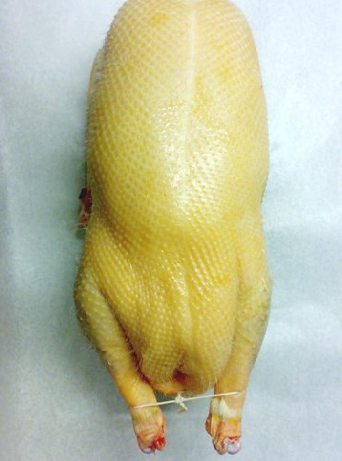 14-15lb Frozen Goose | Trevilley Farm
